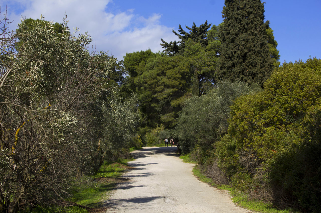 Για τις απόπειρες βιασμού στην περιοχή του Αμαρουσίου - The Press ...